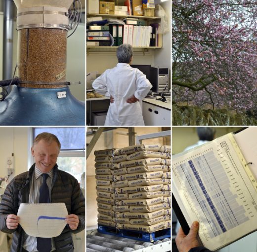 Heygates Flour Mill - Northamptonshire - Sourdough for Health
