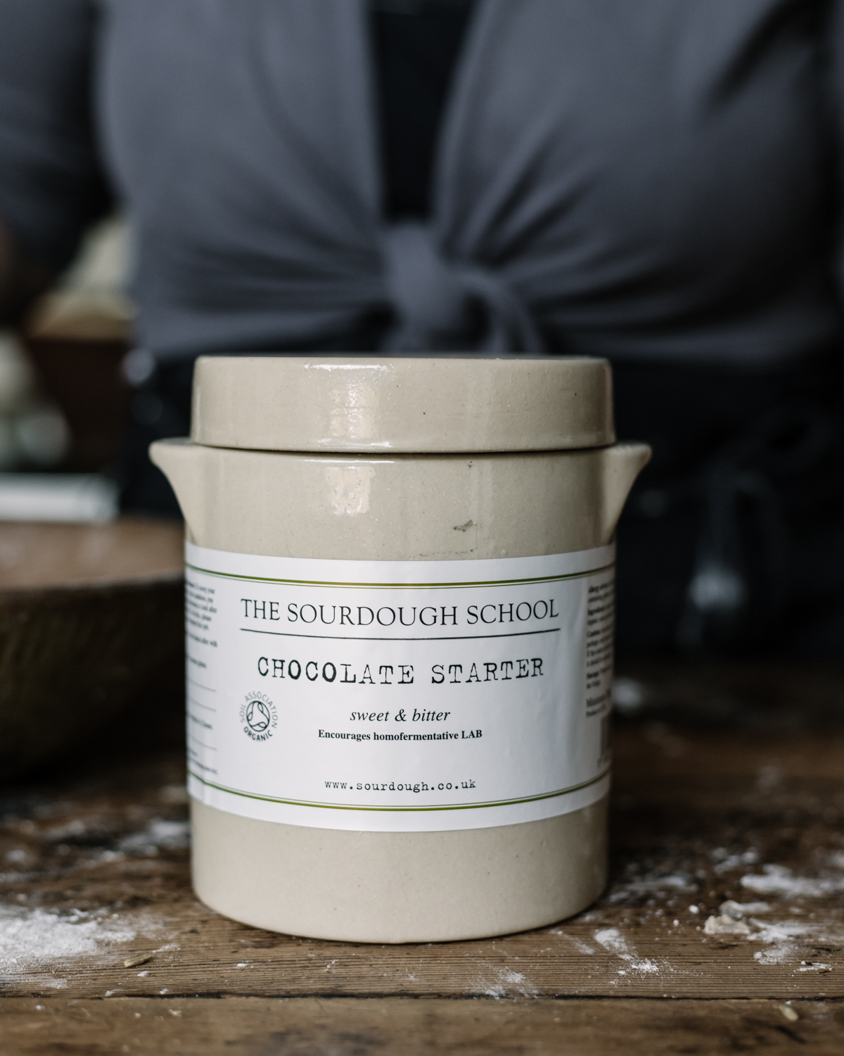 Chocolate starter - Microbial Analysis - Sourdough for Health