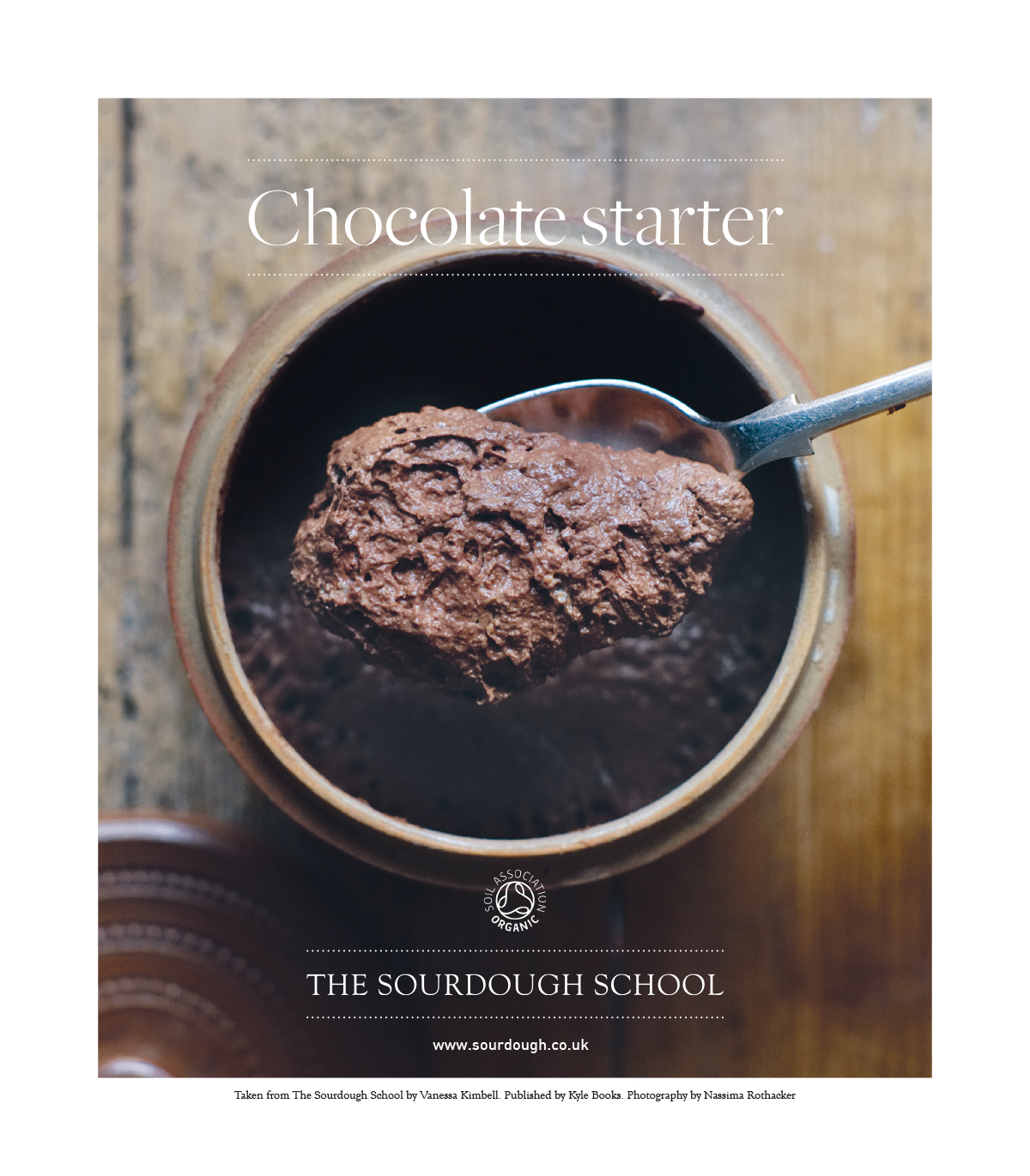 Chocolate starter- Microbial Analysis | The Sourdough School