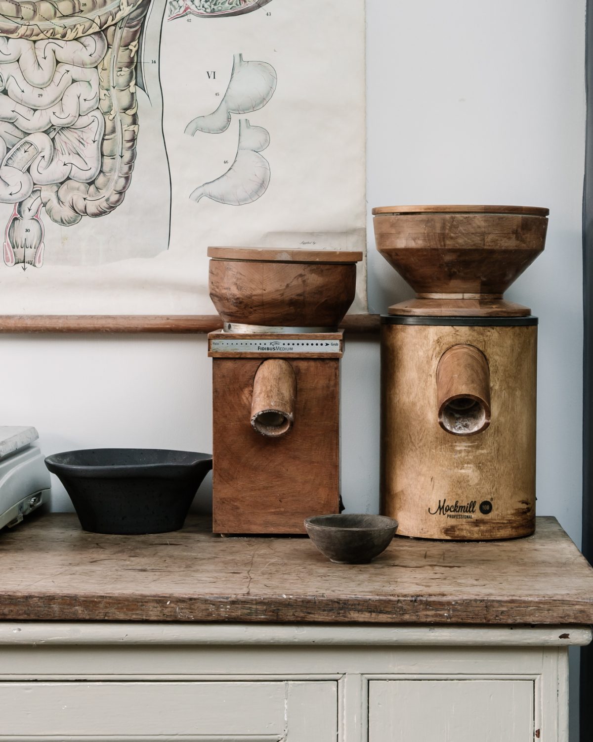 Spun Iron Cloche - Expertise in Sourdough and Health: