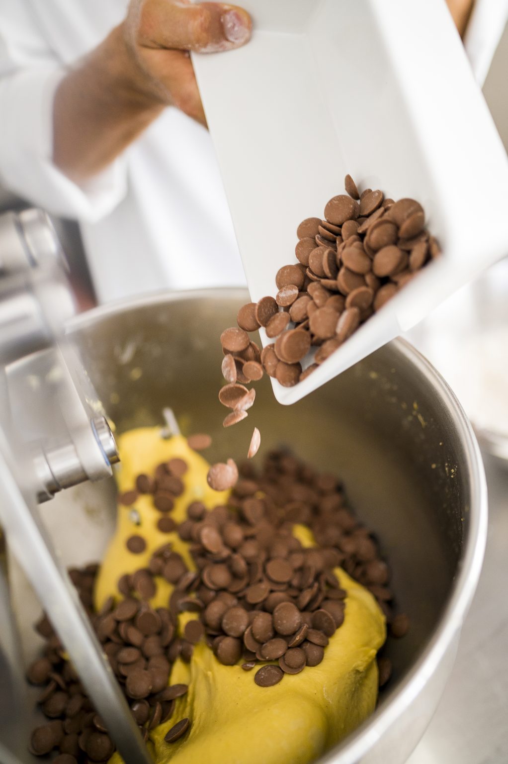 Miss Baker PRO & Miss Baker PRO XL - Sourdough for Health