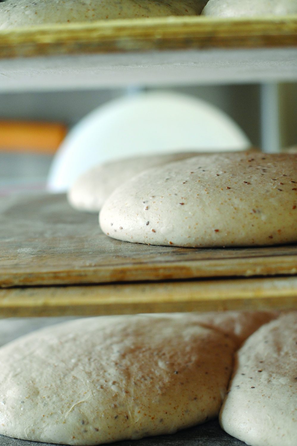 Gluten Sourdough Glossary | Baking Terms & Bread Science | The ...