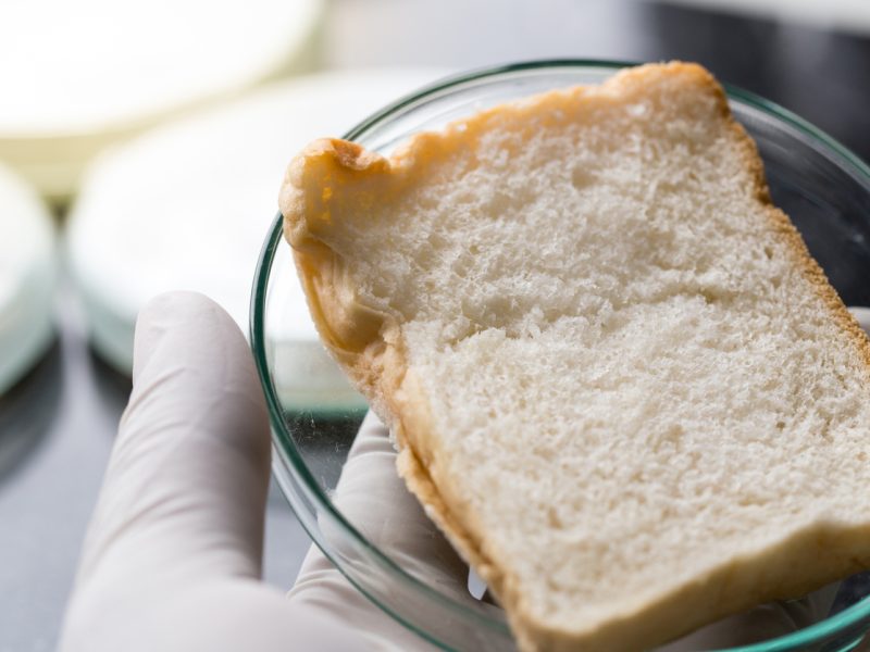 The Ultimate Guide to Healthy Bread